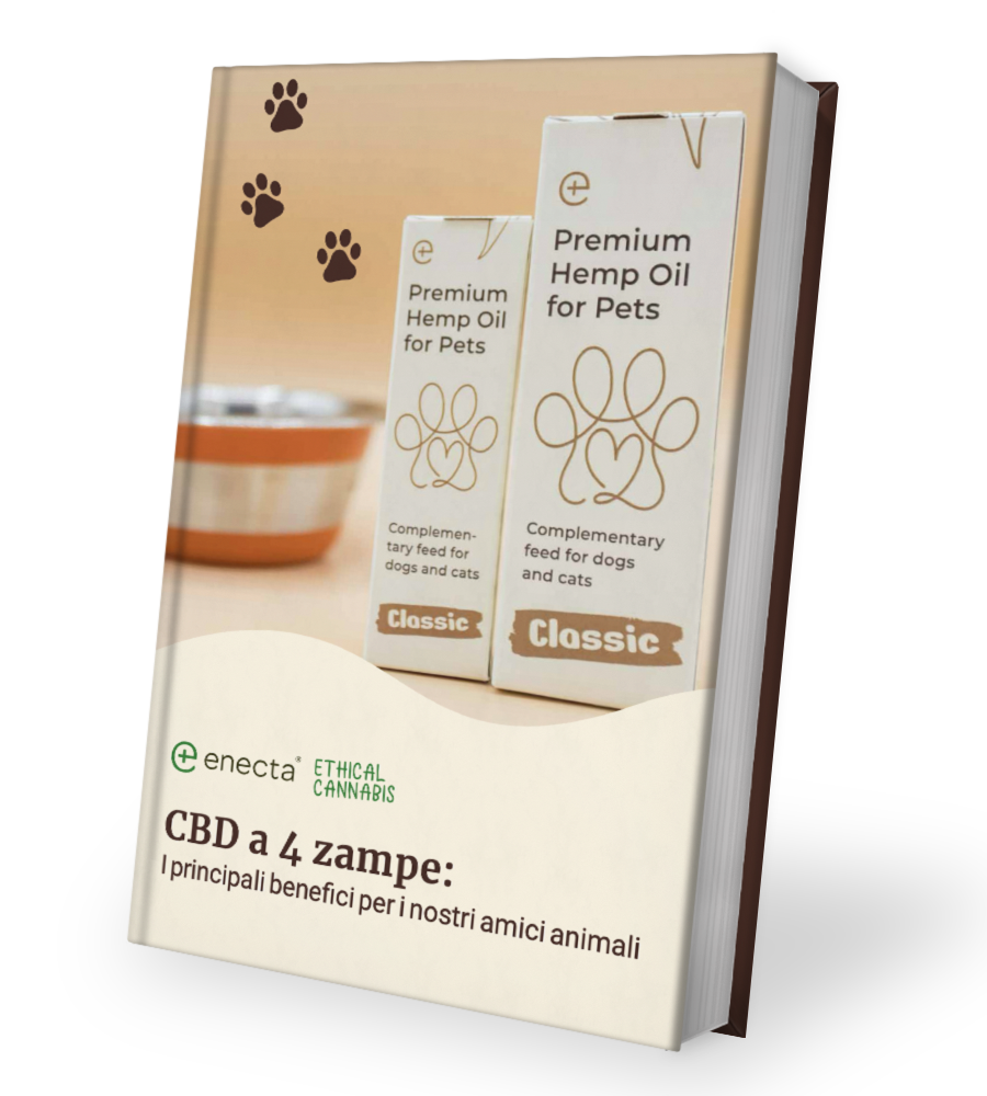 Risorse gratuite | Enecta